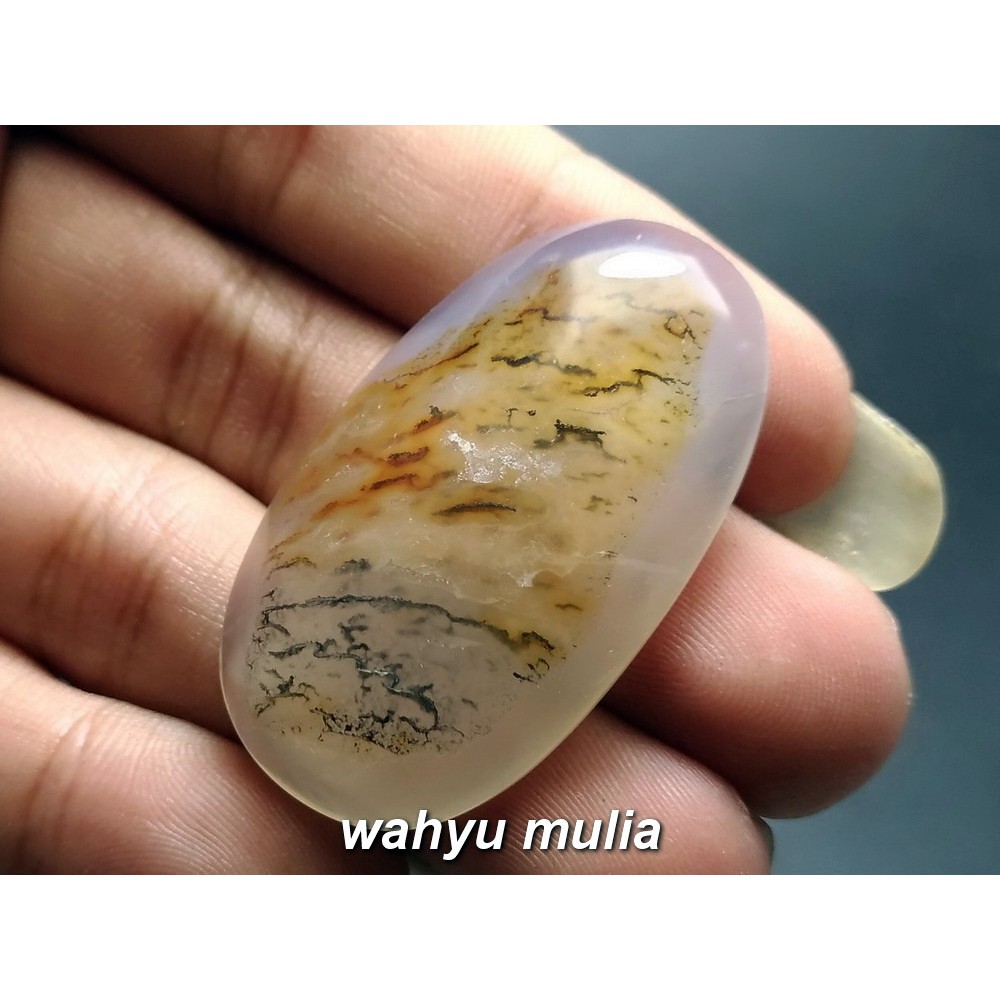 Jual Batu Akik Gambar Kulit Harimau Macan asli (kode:824) | Shopee ...