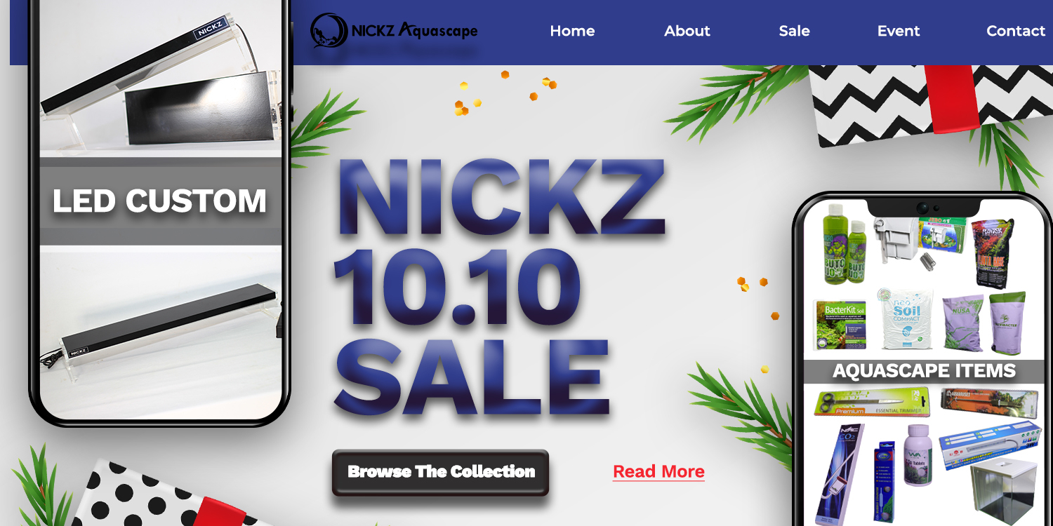 Produk Nickz aquascape | Shopee Indonesia