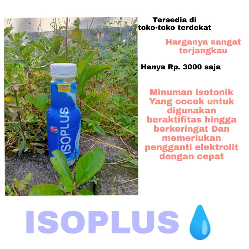 Harga Isoplus Terbaru Maret 2024 |BigGo Indonesia
