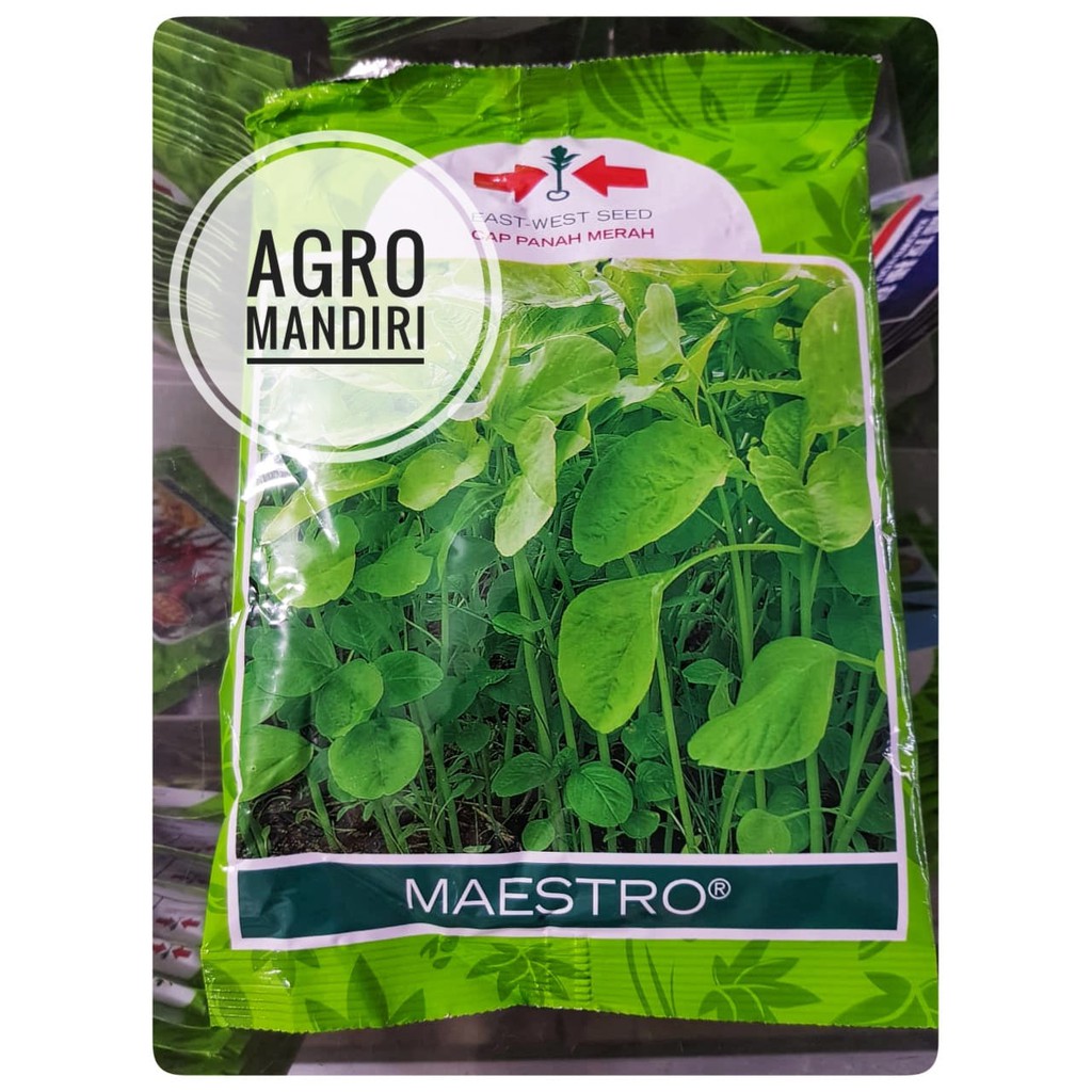 Jual Benih Bibit Bayam Maestro 500 Gram Cap Panah Merah | Shopee Indonesia