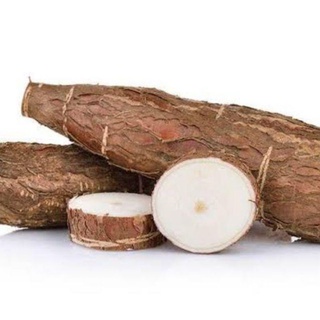 Jual Ubi kayu / ketela pohon 1Kg | Shopee Indonesia