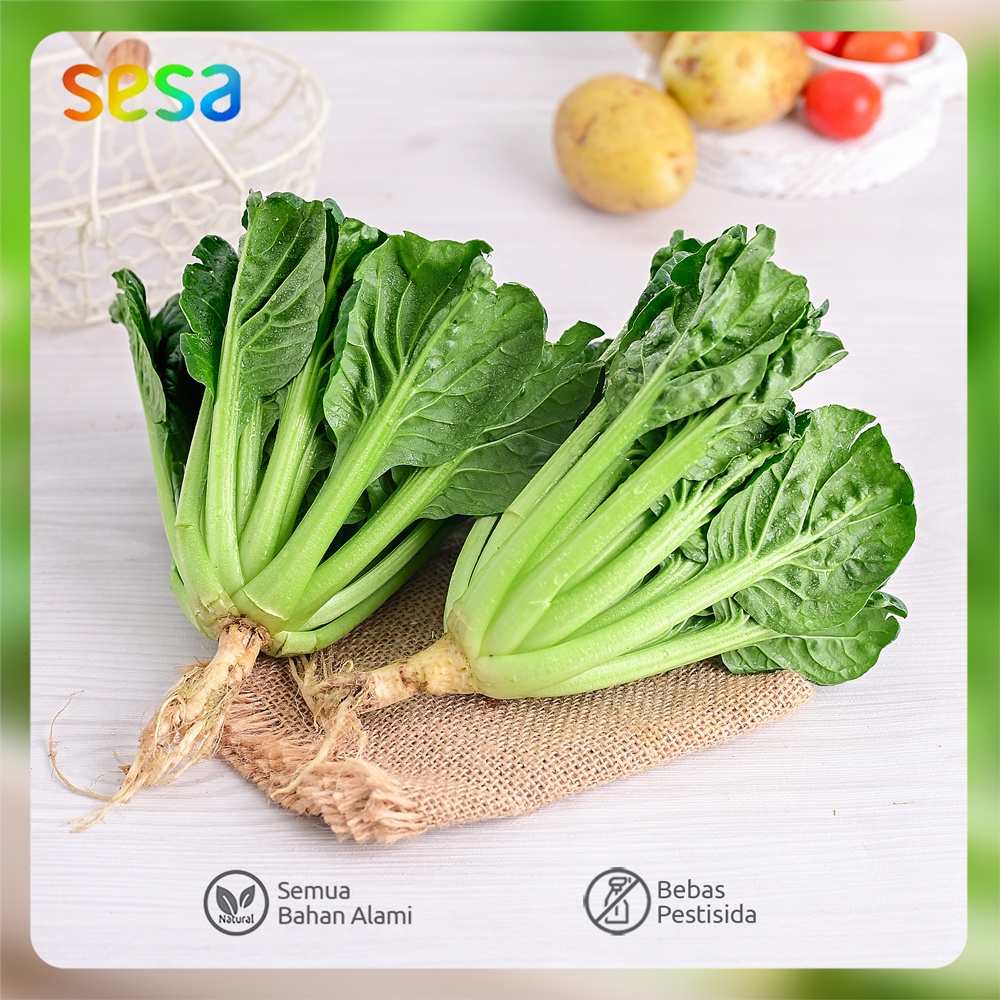 Jual Selada Pagoda Organik 200 g | Shopee Indonesia