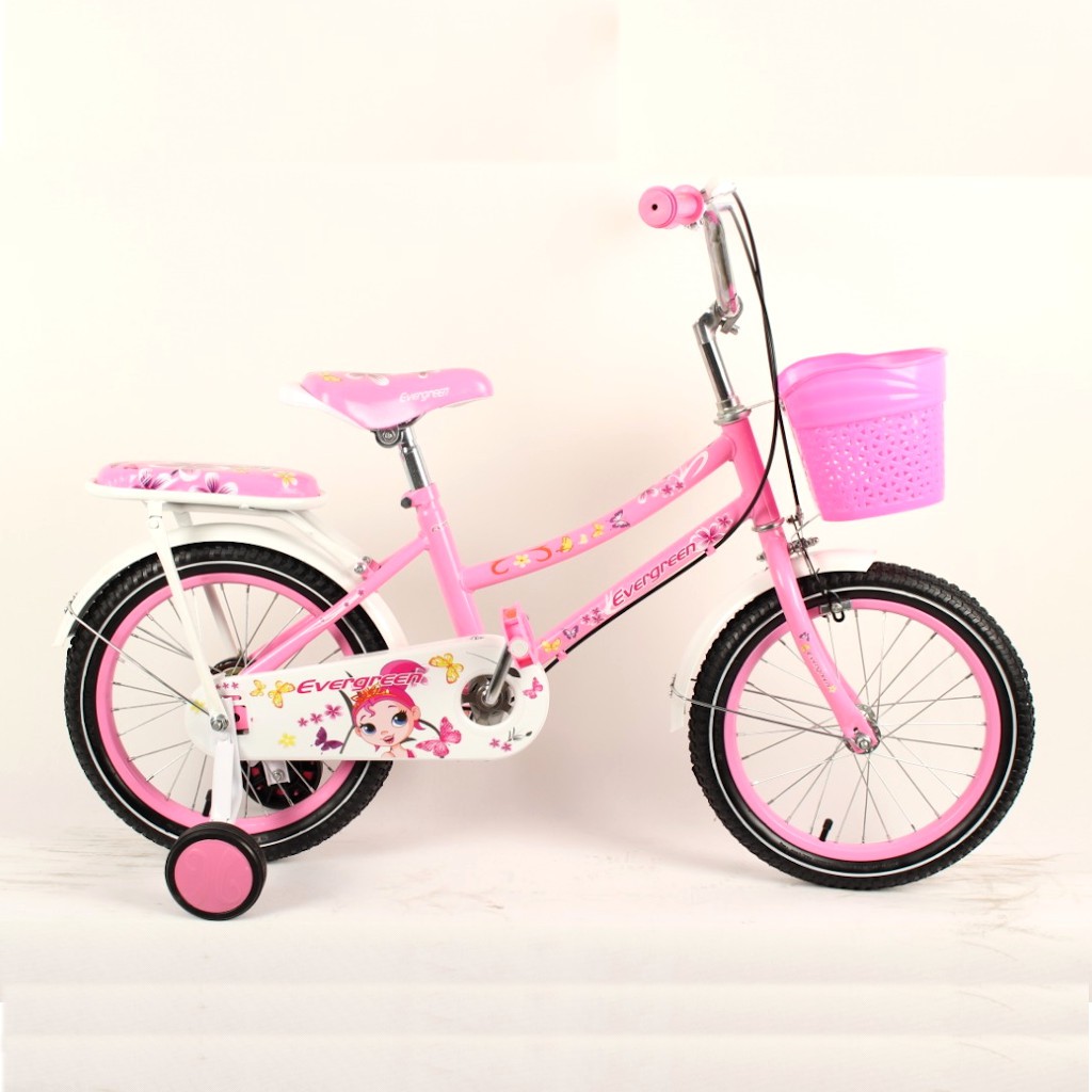 Jual Sepeda Anak Evergreen Penguin CTB 2-4 Tahun 12 Inci 4-7 Tahun 16 ...