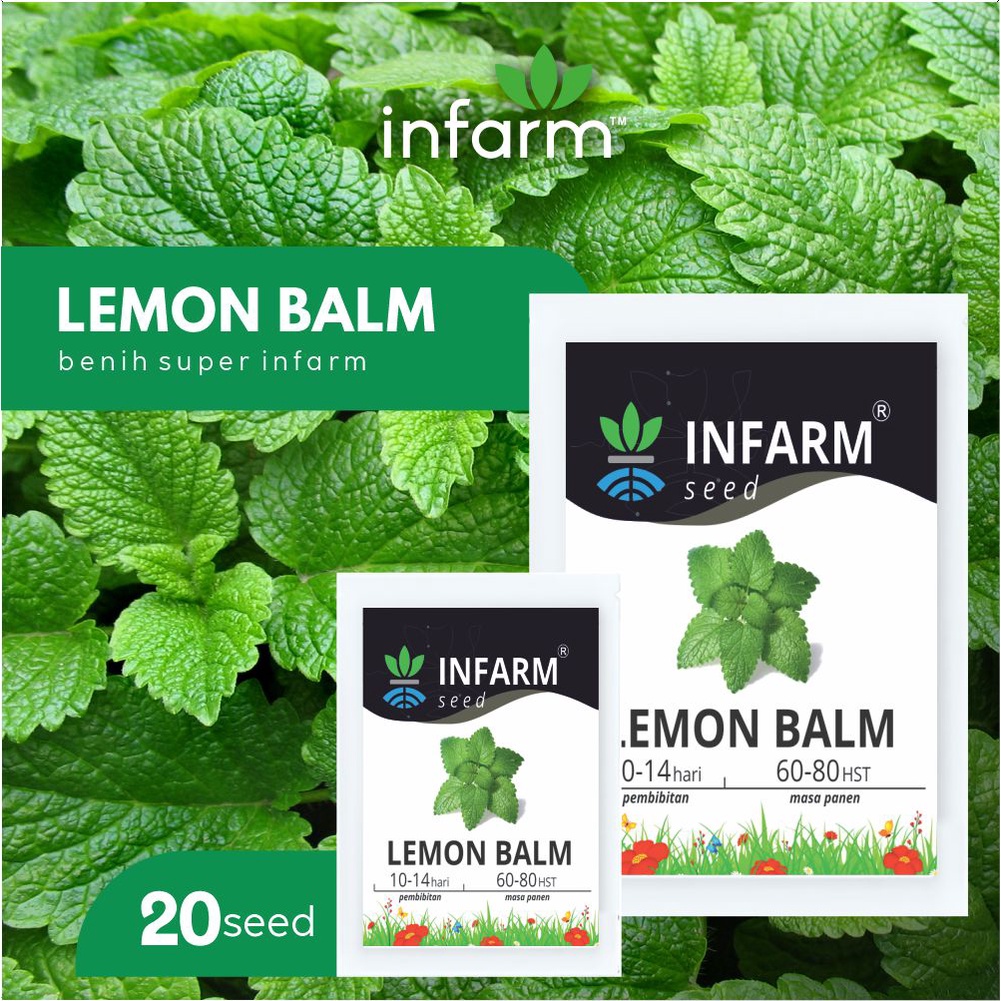 Jual INFARM - Benih Bibit Biji Super Mint Lemon Balm Indonesia|Shopee ...