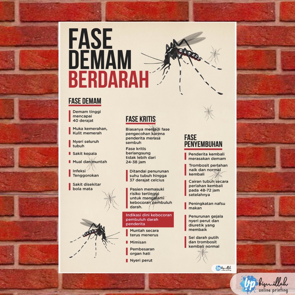 Jual Poster Fase Demam Berdarah | Shopee Indonesia