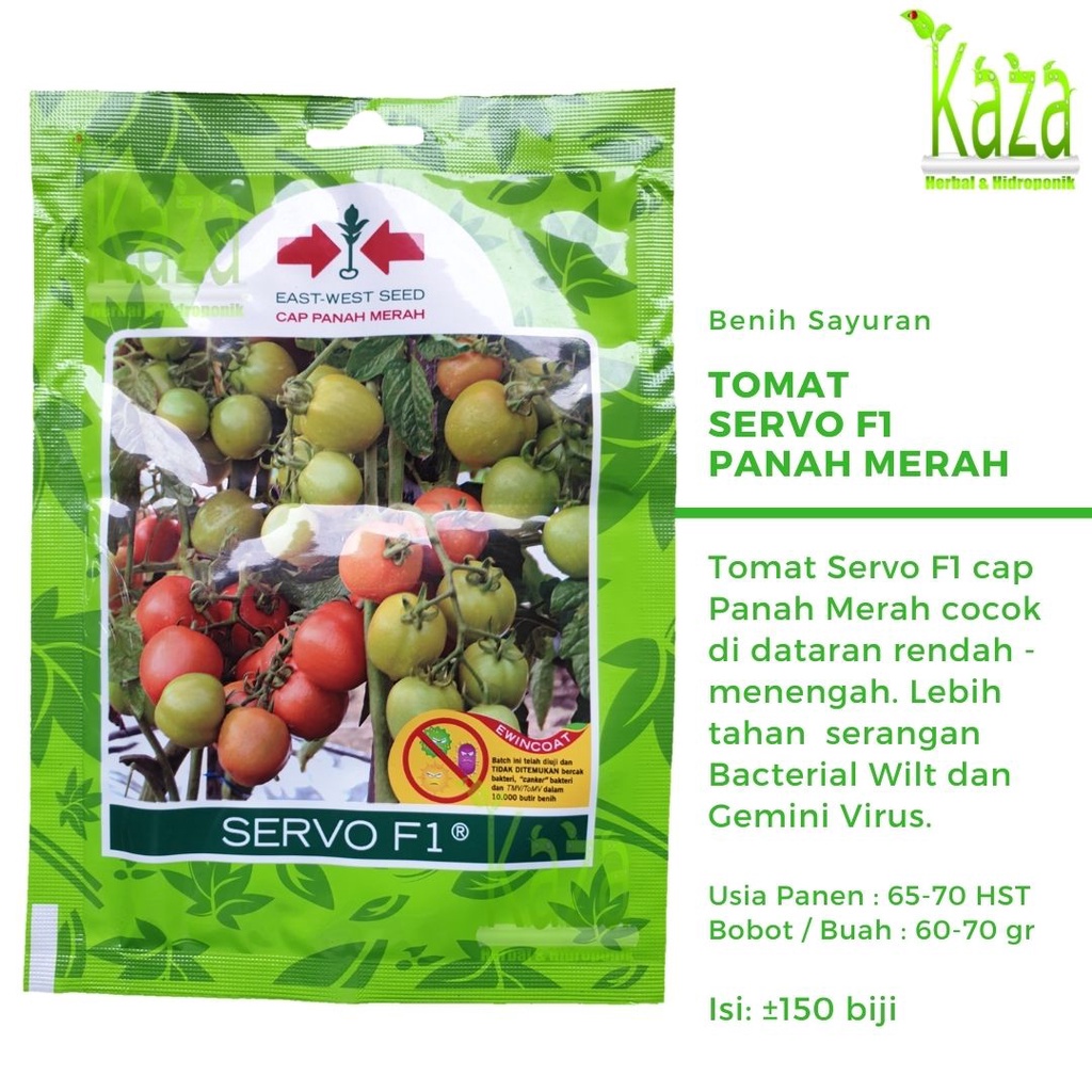Jual Benih Tomat Servo F1 Isi 150 butir Cap Panah Merah | Shopee Indonesia