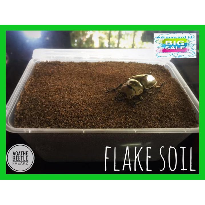 Jual 3E45Se5E- Media Kumbang / Substrate Kumbang / Flake Soil Yr87Tut- | Shopee Indonesia