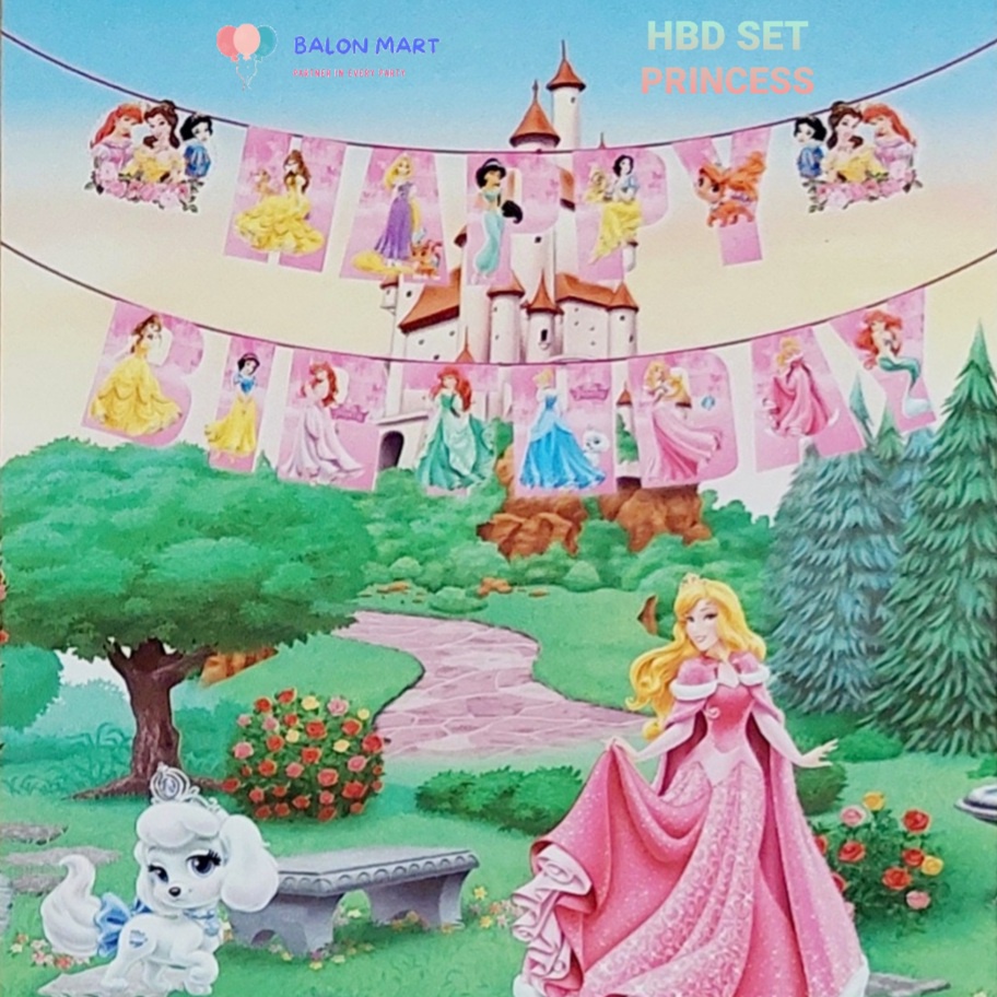 Jual Bunting Flag HBD / Banner Happy Birthday Set Princess | Shopee ...