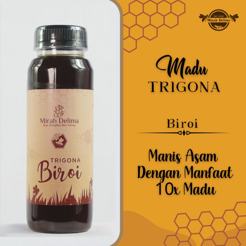 Jual Madu Klanceng - Trigona Biroi - 250 ml | Shopee Indonesia