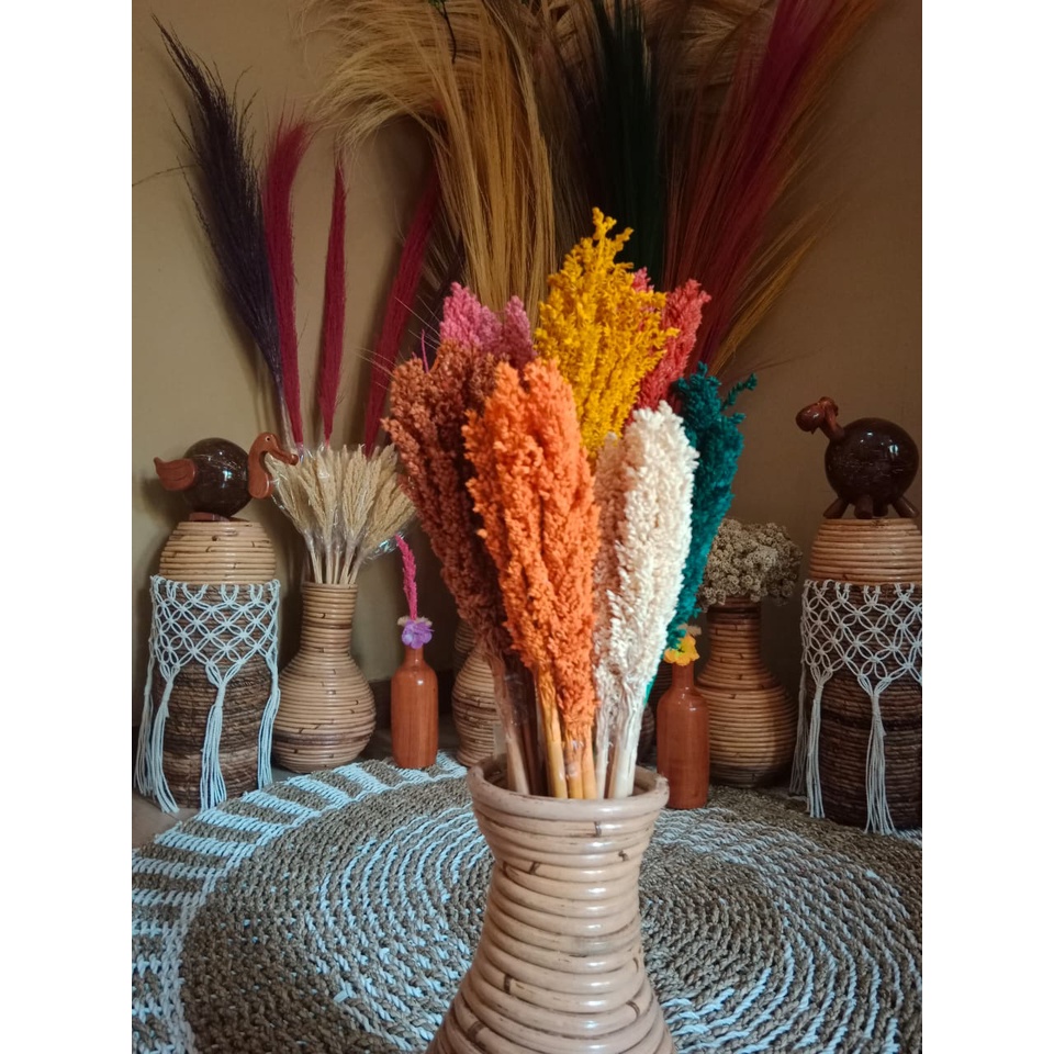 Jual Jual Bunga Cantel Kering/Bunga Sorgum Kering/Dried Flower | Shopee ...