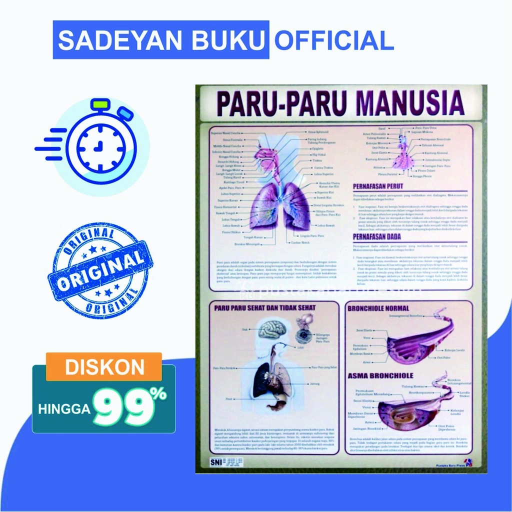 Jual Poster Lembaran Seri Organ Manusia Paru-paru Manusia Warna ...