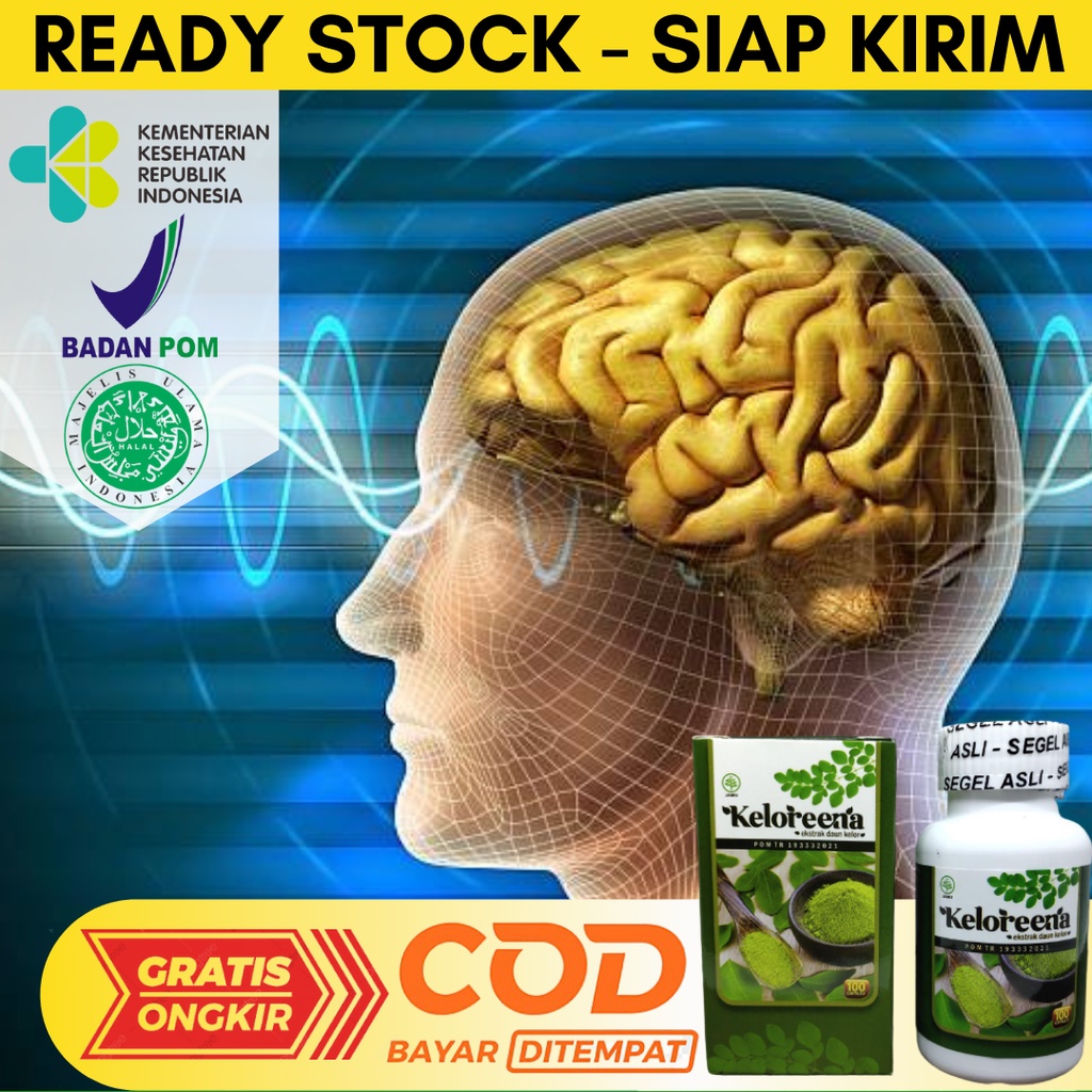 Jual Obat Saraf Otak Rusak Herbal - Obat Syaraf Otak Bermasalah ...