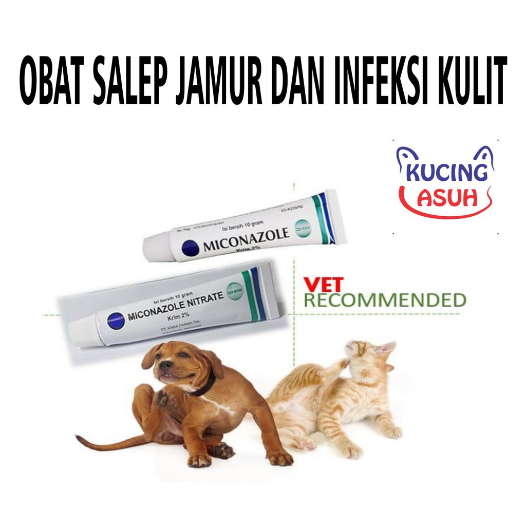 Obat Salep Jamur dan Infeksi Kulit Anjing Kucing Kelinci | Shopee Indonesia