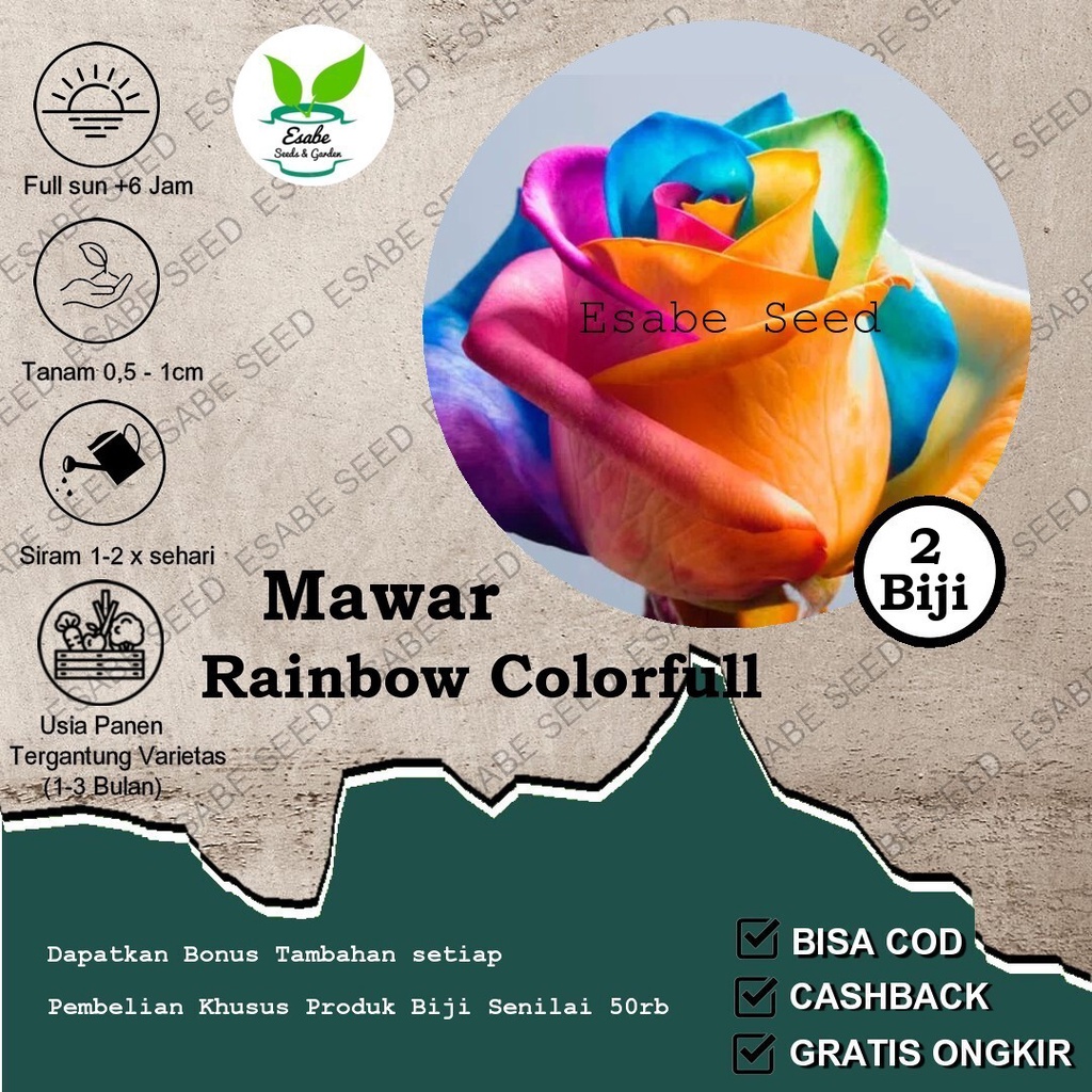 Jual Benih Biji Mawar Rainbow Rose Colorfull Bunga Pelangi Seed Bibit ...