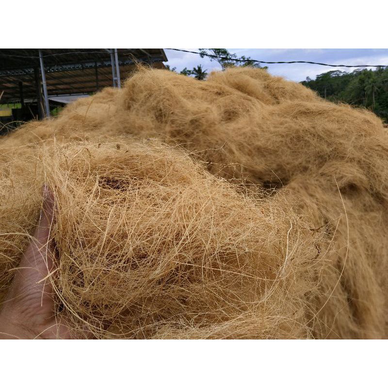 Jual Sabut Kelapa / Coco Fiber 1 kg | Shopee Indonesia