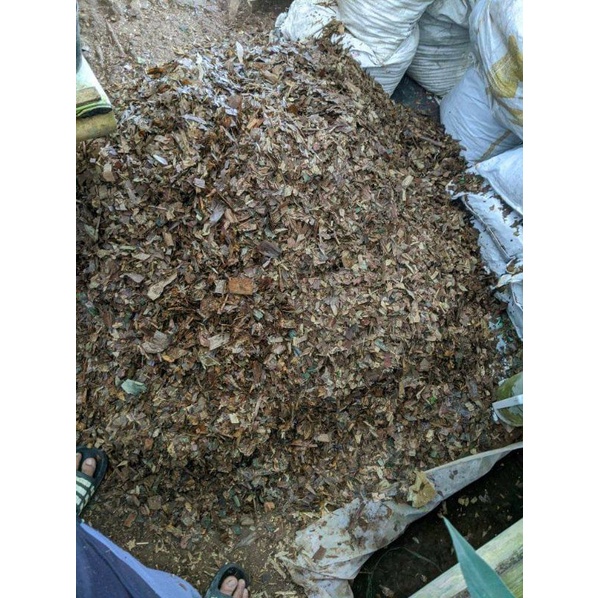 Jual Humus daun bambu siap pakai untuk kesuburan tanaman hias berat 1kg ...