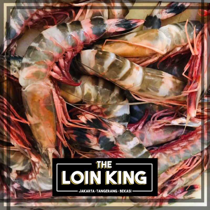 Jual Tiger Prawn / Udang Tiger Pancet Merah Laut 500gr | Shopee Indonesia