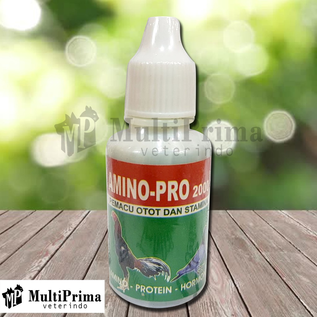 Obat Hormon Vitamin Protein AMINO PRO 2000 Pemacu Pertumbuhan Tubuh ...