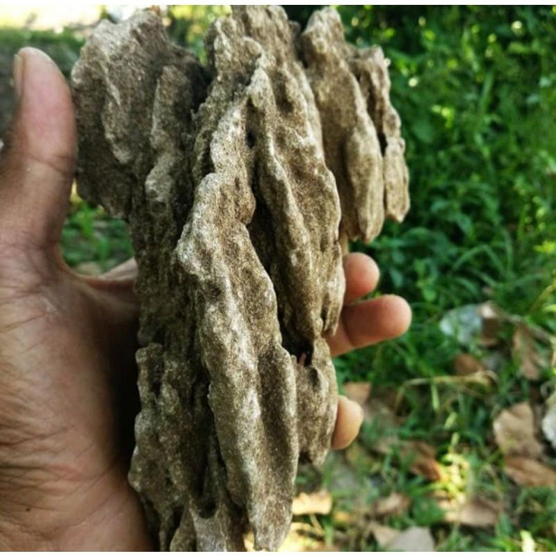 Jual BATU PASIR SANDSTONE AQUASCAPE 1 KG SAND STONE Indonesia|Shopee ...