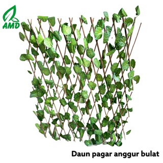Jual Rumput Daun Pagar bisa dilebarkan sesuai dengan ukuran pagar ...