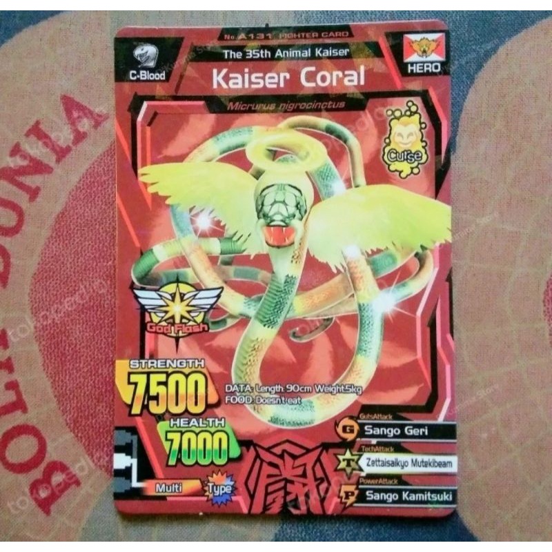 Jual KAISER CORAL Animal Kaiser S1 Special Rare BONUS BEBERAPA KARTU RANDOM | Shopee Indonesia