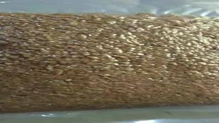 Jual oyek, tiwul instant, tiwul singkong kemasan VACUM ( 1 KG) | Shopee ...