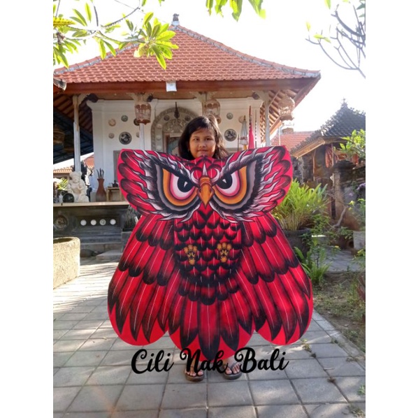Jual "Best Seller" Layangan Celepuk-Layangan Bali-Layangan Burung Hantu ...