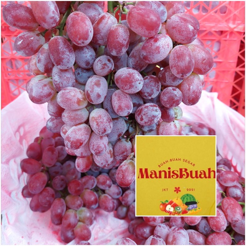 Jual AnggurCrimson buah fresh per dus | Shopee Indonesia