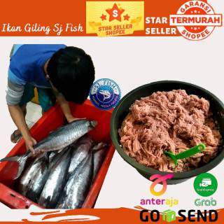 IKAN TENGGIRI GILING BULAT/ BATANG/ JANTAN | Shopee Indonesia