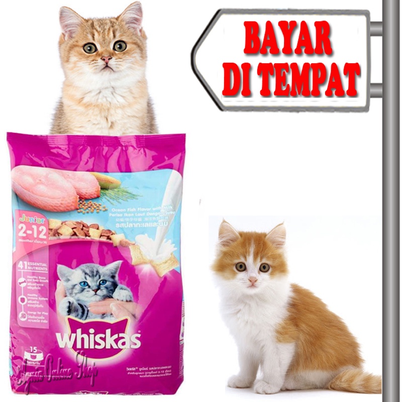 Harga Makan Kucing 1KG Wiskas Terbaru Jun 2026 | BigGo Indonesia