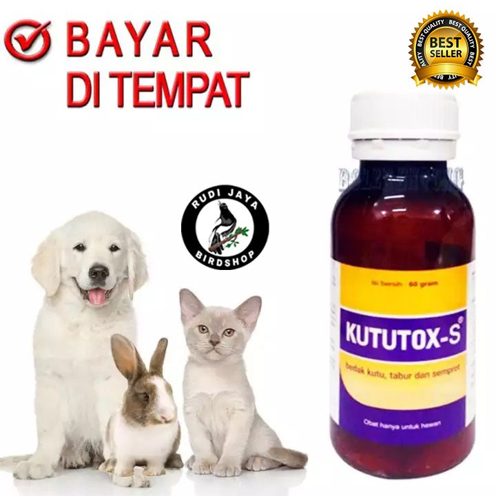 Jual KUTUTOX S KUTUTOK KUTUTOX-S KUTU TOX MEDION 60 ML OBAT KUTU AYAM ...