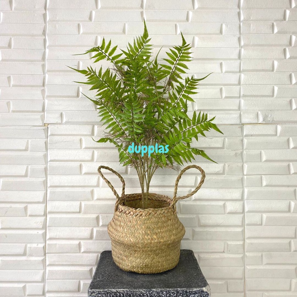Jual Pohon Daun Pakis Boston Akar X5 Latex Artificial Cover Pot Anyaman ...