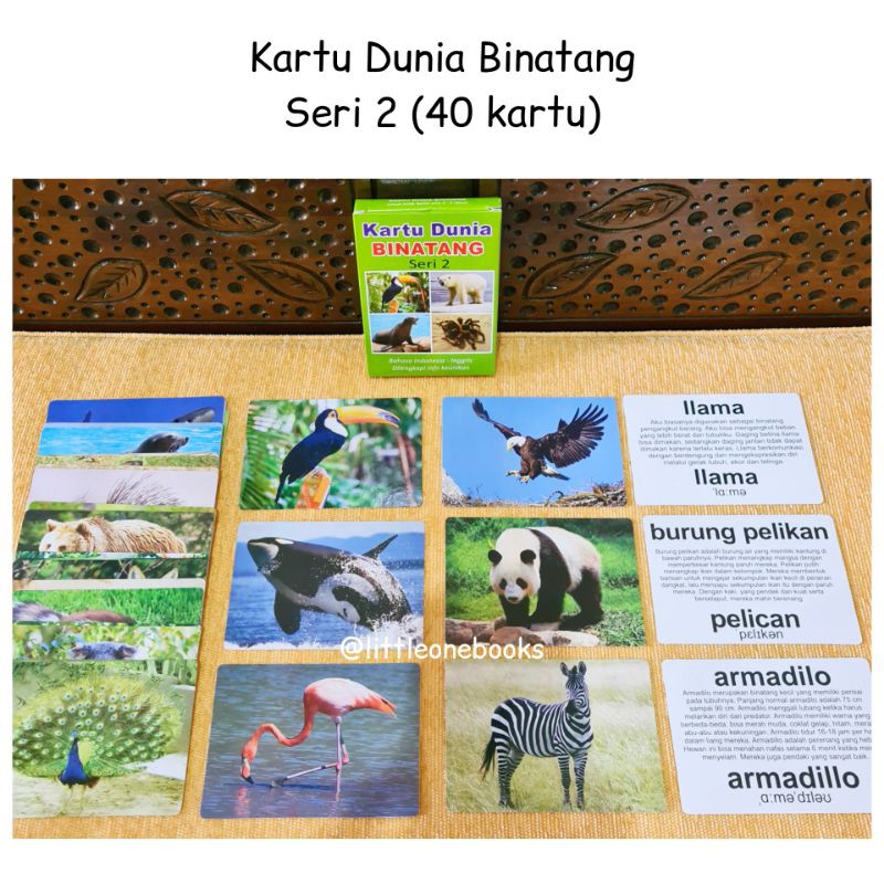 Jual kartu dunia binatang seri 2 (40 kartu) / animal flash cards ...