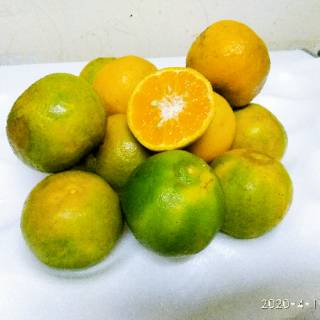Jual Buah Jeruk Keprok Garut | Jeruk Segar Juicy | Shopee Indonesia
