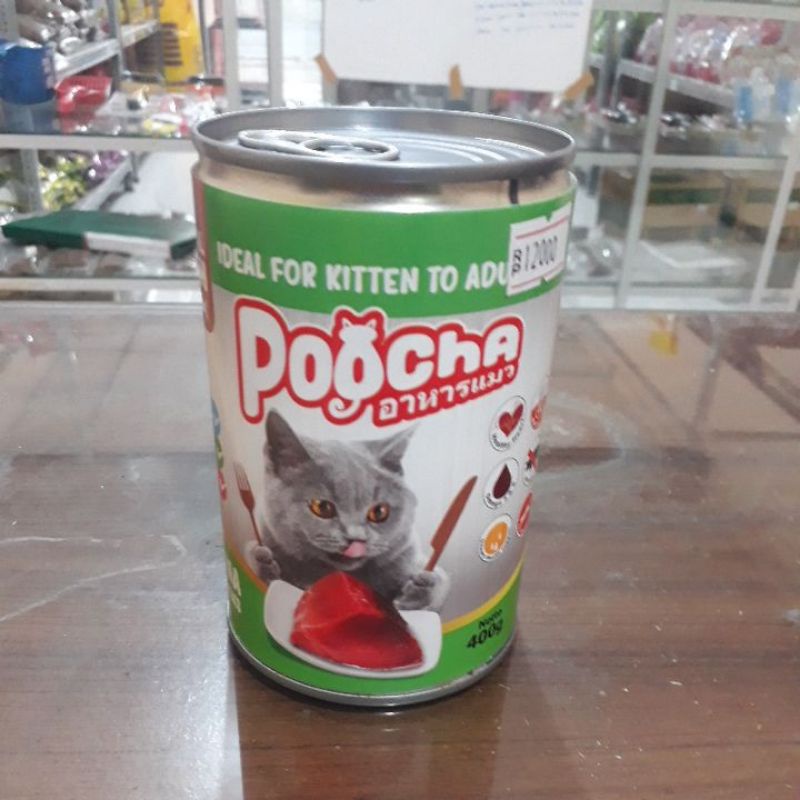 Harga Poocha Terbaru Juni 2024 |BigGo Indonesia