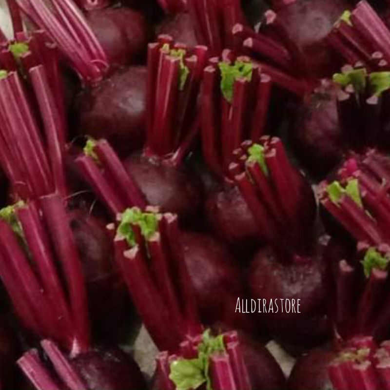 Jual Buah Bit/Beet Root Fresh 1Kg | Shopee Indonesia
