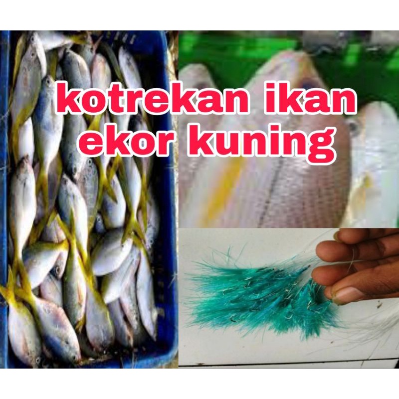 Jual pancing kotrek untuk ikan ekor kuning kembung,selar,como | Shopee ...