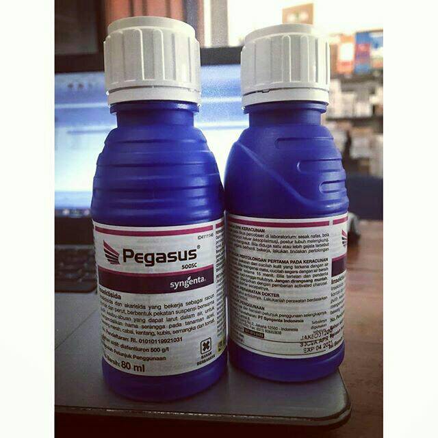 Insektisida syngenta PEGASUS 500SC 80ml | Shopee Indonesia