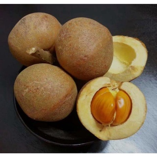 Jual buah tampui manggis dayak | Shopee Indonesia