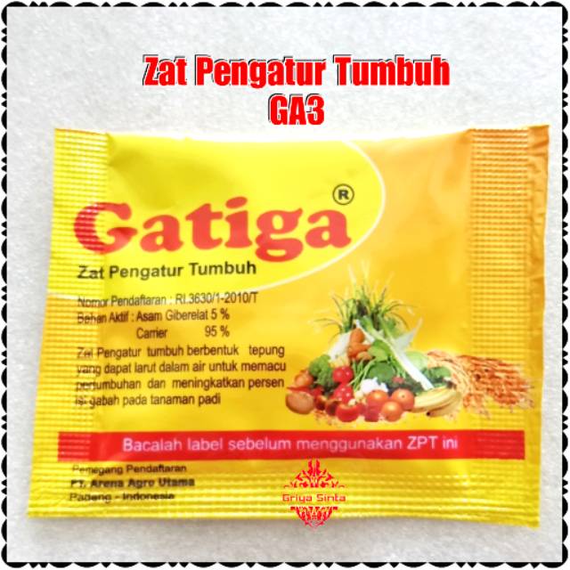 Jual Gatiga Zat Pengatur Tumbuh Pada Tumbuhan | Shopee Indonesia