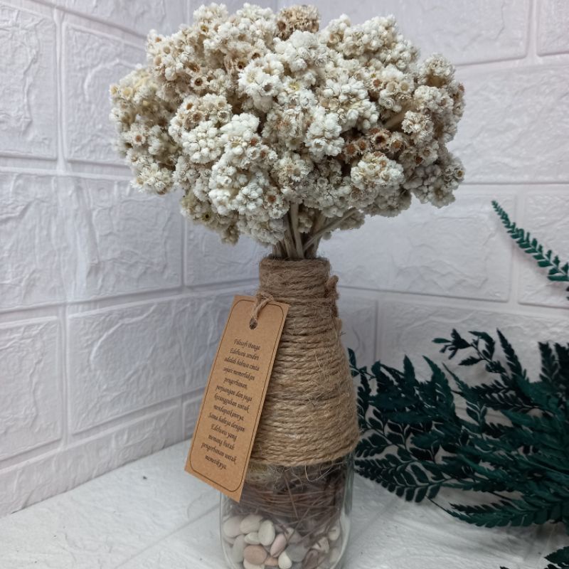 Jual Bunga kering dgn vas botol decorasi (satu set) dengan batuan dan ...