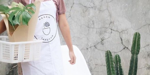 Toko Online Nanem Taneman Official Shop | Shopee Indonesia