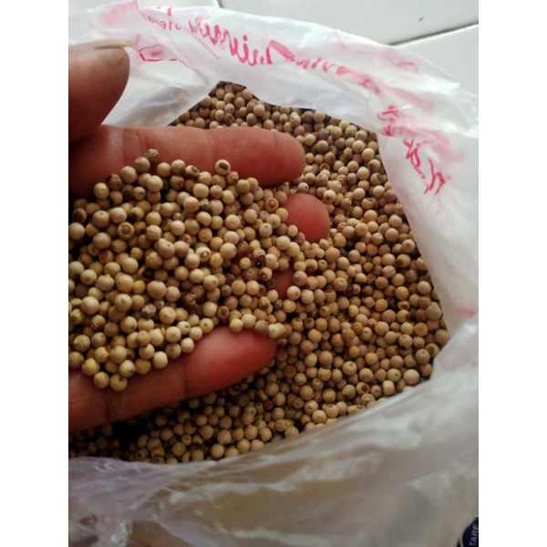 Jual Merica butir/Lada butir (1kg) | Shopee Indonesia