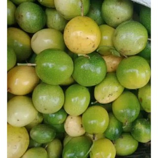 Jual MARKISA 1KG BUAH MARKISA SEGAR MARKISA MERAH /MARKISA KUNING / MARKISAH HIJAU | Shopee ...