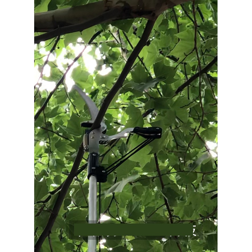 Jual Alat Potong Dahan/Gunting Rambutan/Pemotong Ranting yang Tinggi ...