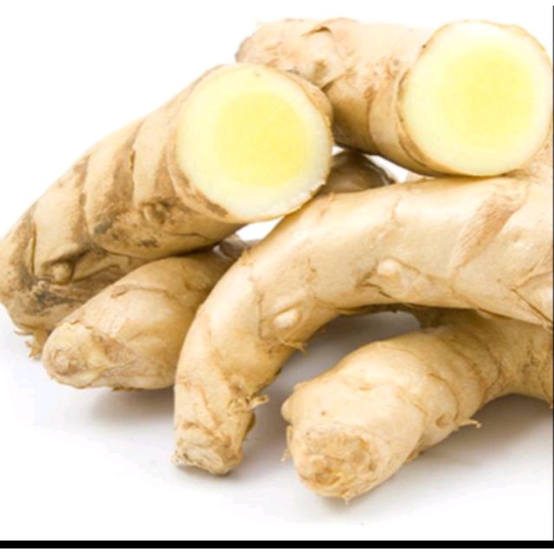 Jual KUNYIT PUTIH temu putih{Curcuma zedoaria)500 grm | Shopee Indonesia