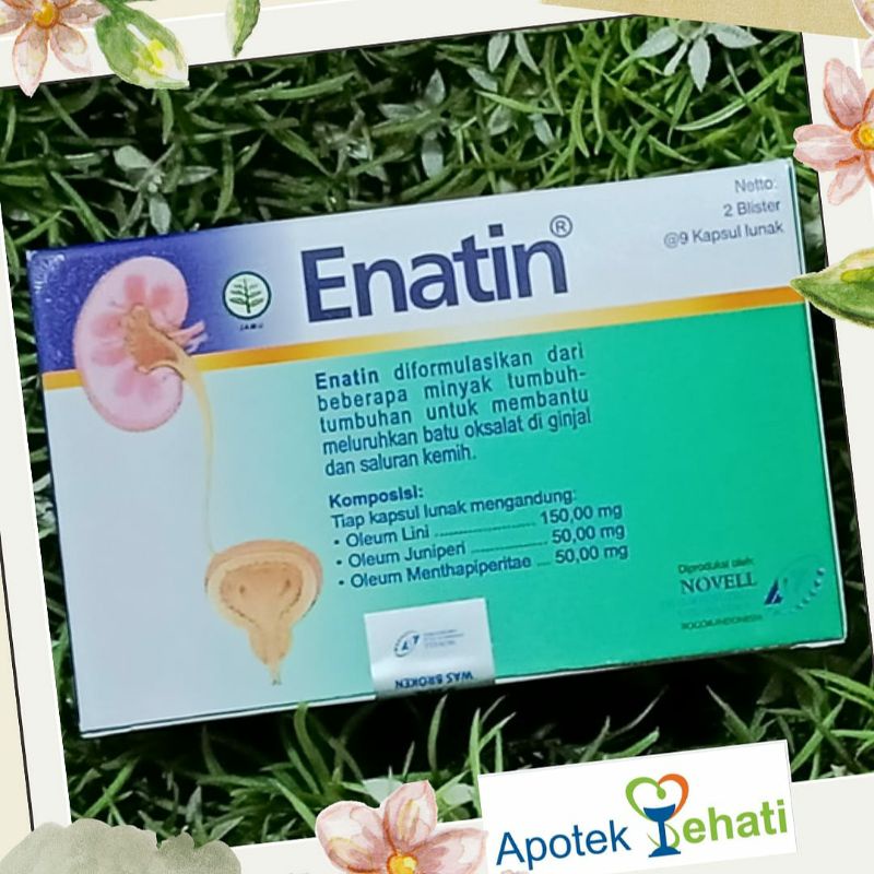 Jual Enatin Kapsul Box isi 18 Kapsul Membantu Meluruhkan Batu Oksalat ...