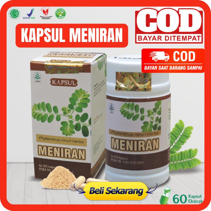 Jual Kapsul MENIRAN Tazakka Isi 60 - Mengobati Hepatitis Daya Tahan ...