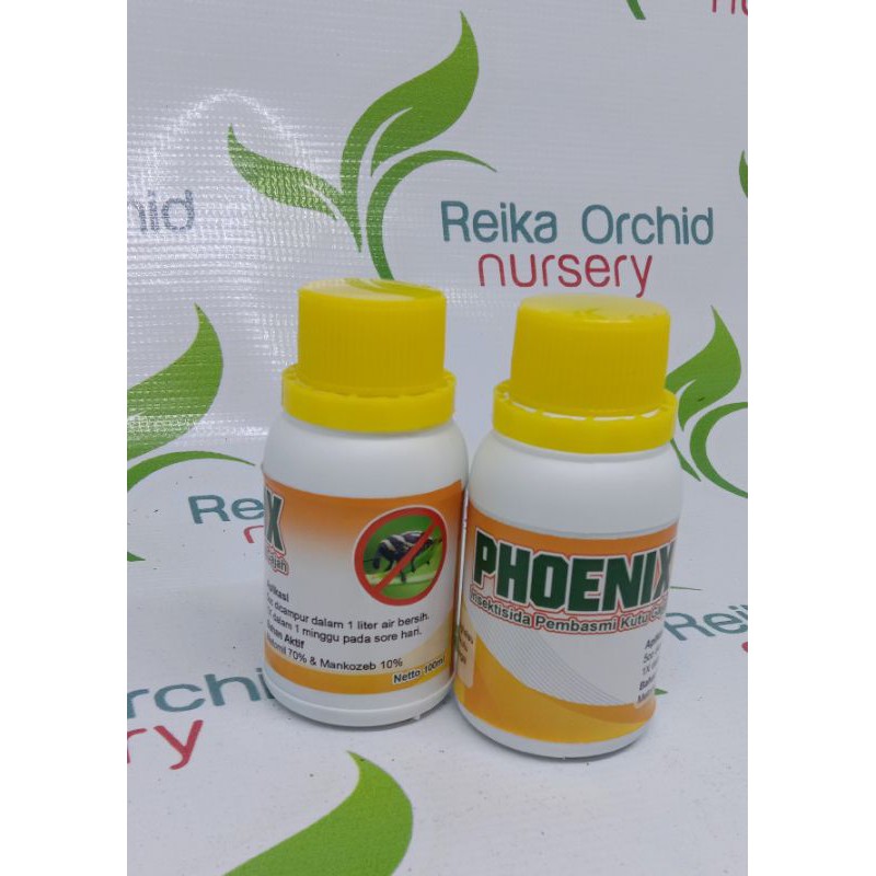 Jual Insectisida Pembasmi Kutu Gajah Tanaman Anggrek "Phoenix" 100 ml ...