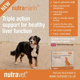 Jual Nutramarin + Obat Gangguan Liver (Hati) untuk Kucing & Anjing ...